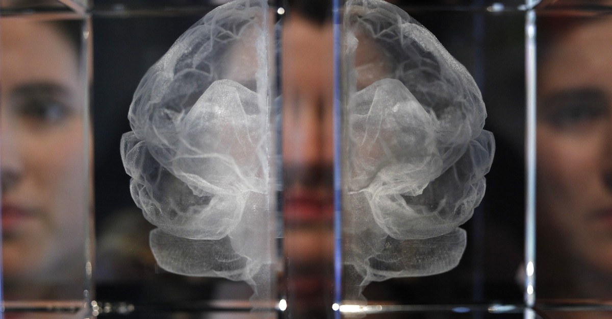 Obama's Moonshot — Map the Human Brain - The Atlantic