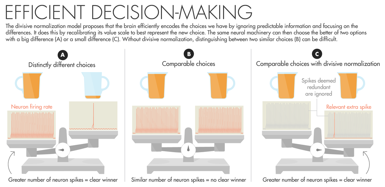 What a Bad Decision Looks Like in the Brain - The Atlantic