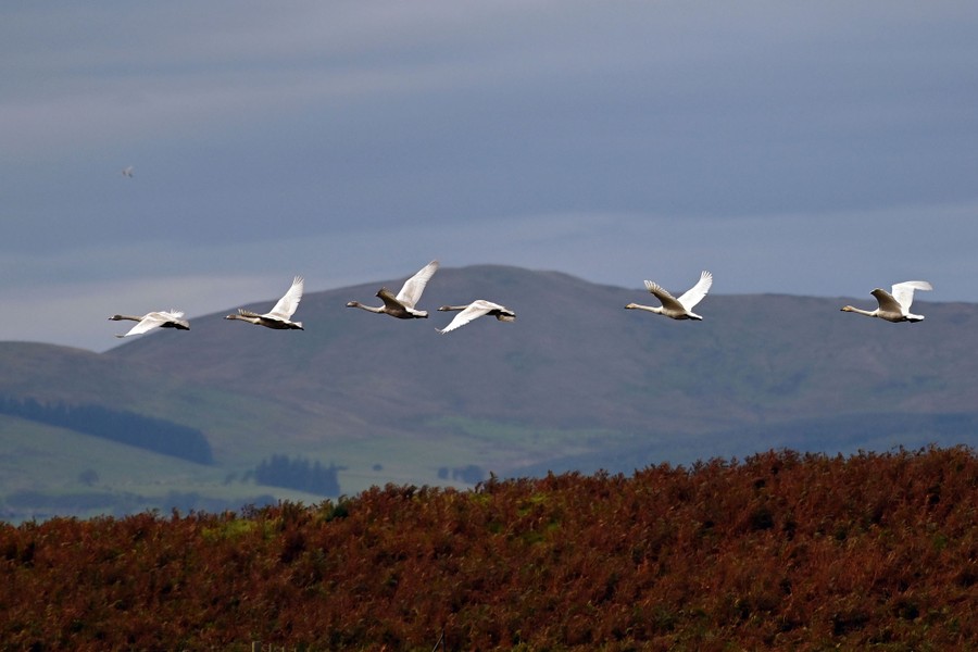 Fall Is in the Air: Images of the Season - The Atlantic