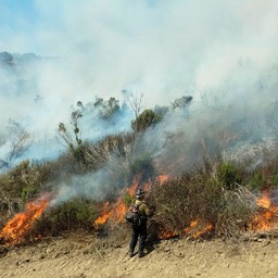 Living Through the End of California - The Atlantic
