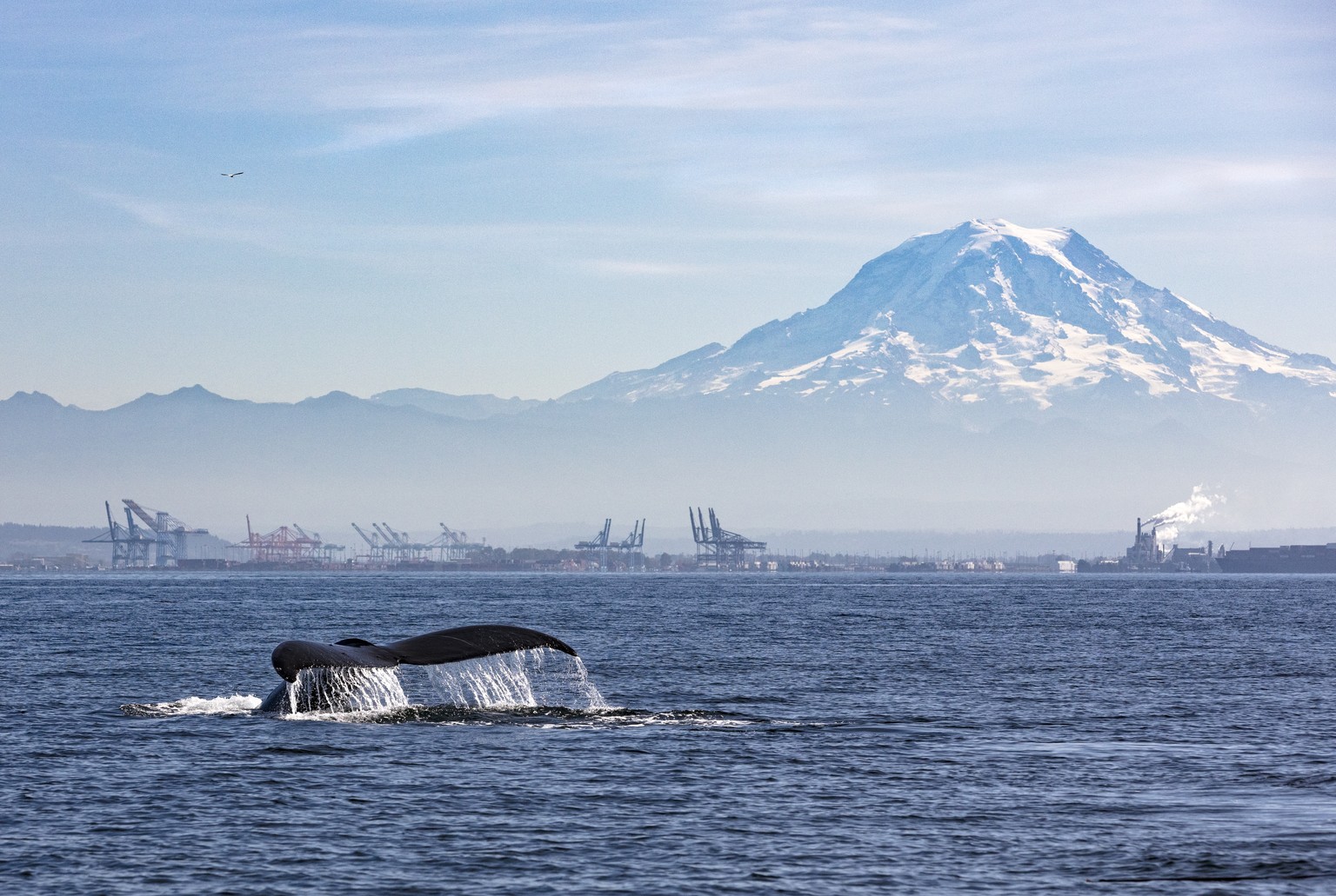 Photos From Around the North Pacific - The Atlantic