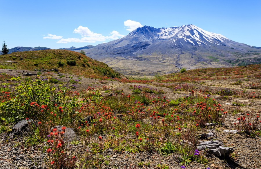 Washington: Images of the Evergreen State - The Atlantic