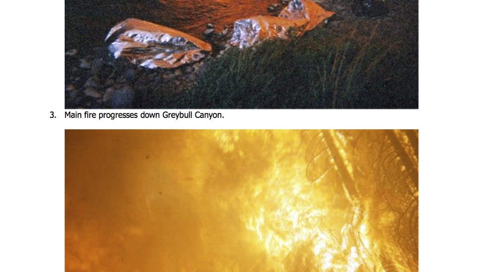 What It Feels Like to Lie Face Down and Let a Wildfire Burn Over You ...