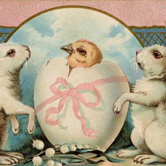 egg birds rabbit