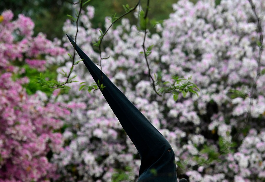 Photos: Holy Week Processions in Spain - The Atlantic