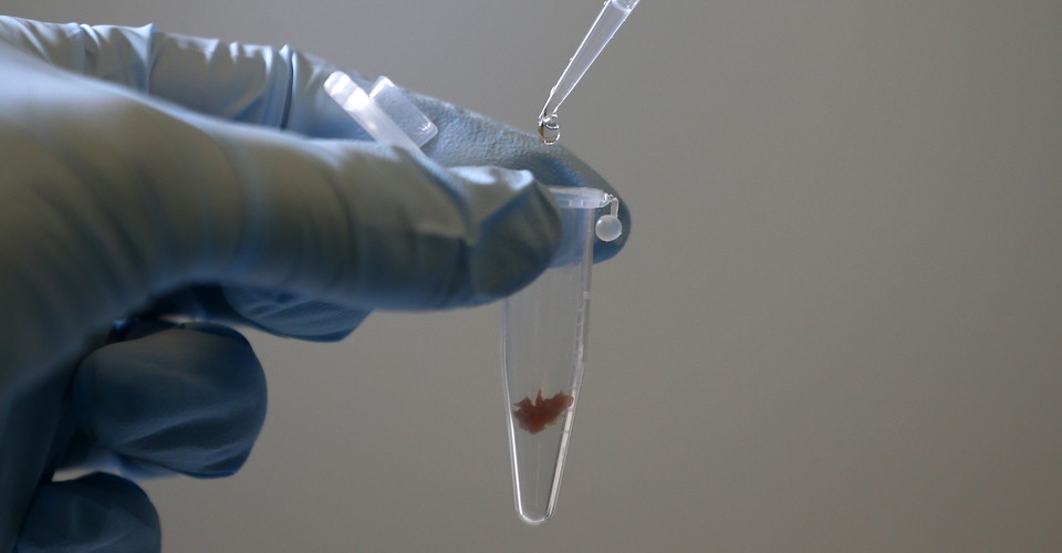 Race, Genetics, and Scientific Freedom - The Atlantic