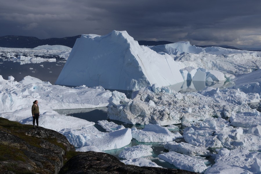Photos of the Week: Gruffalo Maze, Panama Swing, Luminous Mane - The ...
