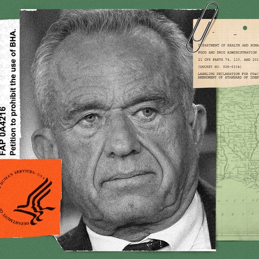 The States Are Going Full RFK Jr. - The Atlantic