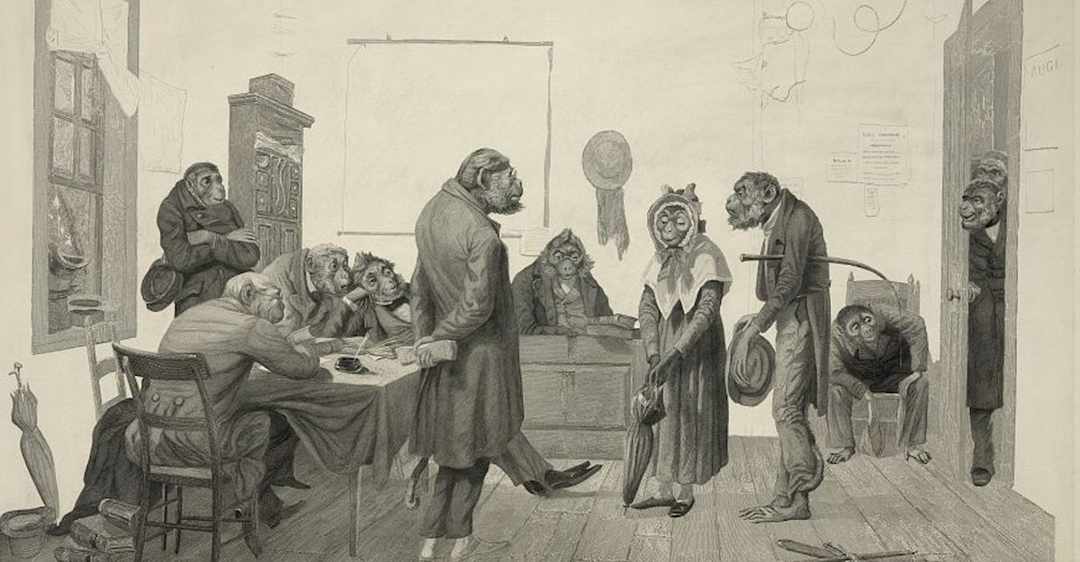 Mr. Hardhack on the Derivation of Man from the Monkey - The Atlantic