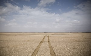 All Stories by Stephanie Gaskell - The Atlantic