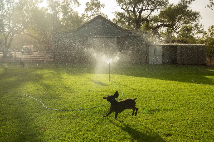 Photos: A January Heat Wave in Australia - The Atlantic