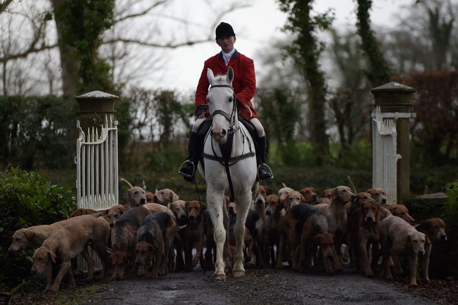 Photos of the Week: Vertical Dancers, Pagan Solstice, Panda Monitor ...