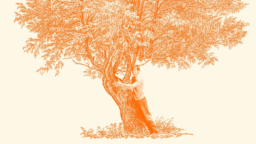 The Meaning of Trees in a Warming World - The Atlantic