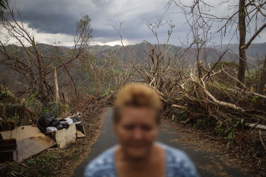 2017 Seen Through the Lens of Mario Tama - The Atlantic