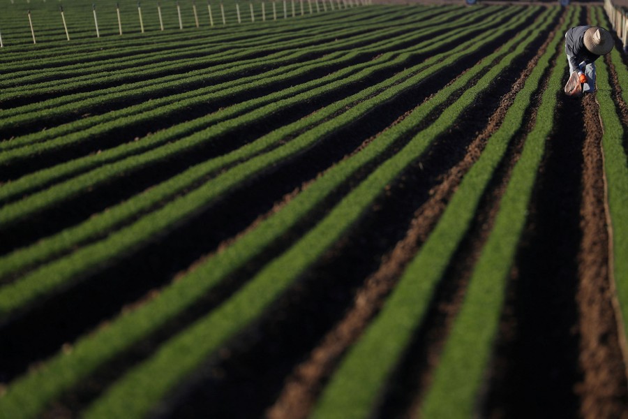 Photos: The Essential Work of Farmers - The Atlantic