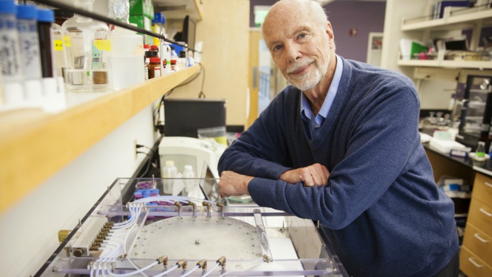 Simulating the Origins of Life - The Atlantic