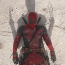 Want to See a Snake Eat Its Tail? - The Atlantic