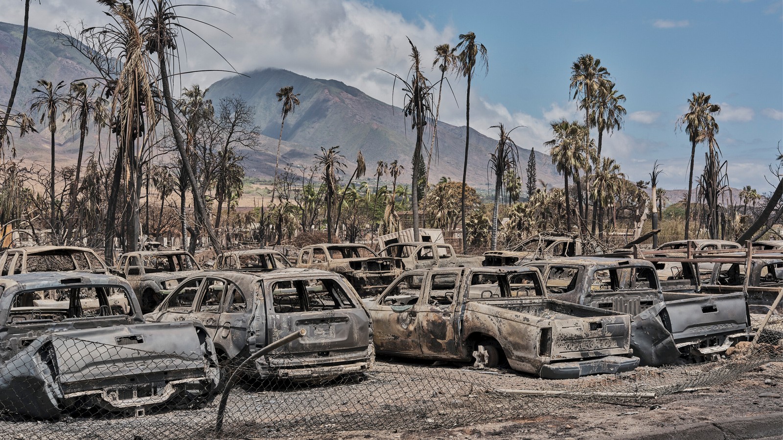 Disaster Response