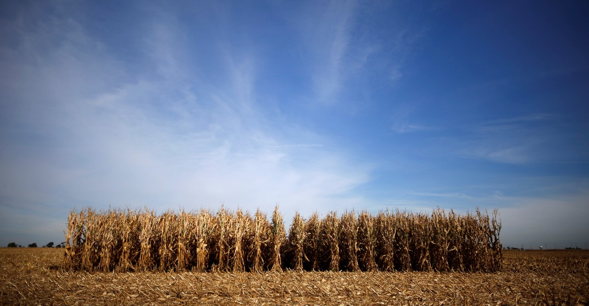 Trump Created a Problem for U.S. Farmers - The Atlantic