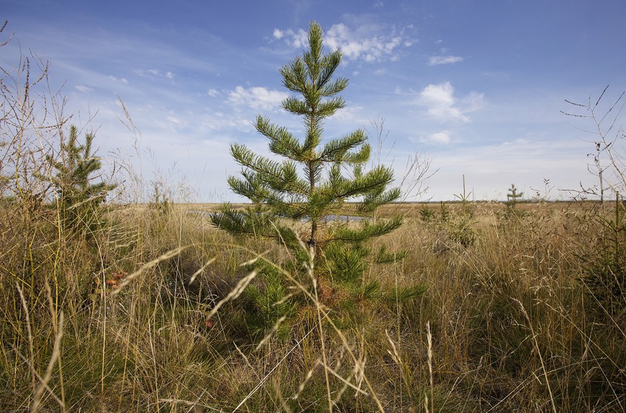 The Alberta Tar Sands - The Atlantic