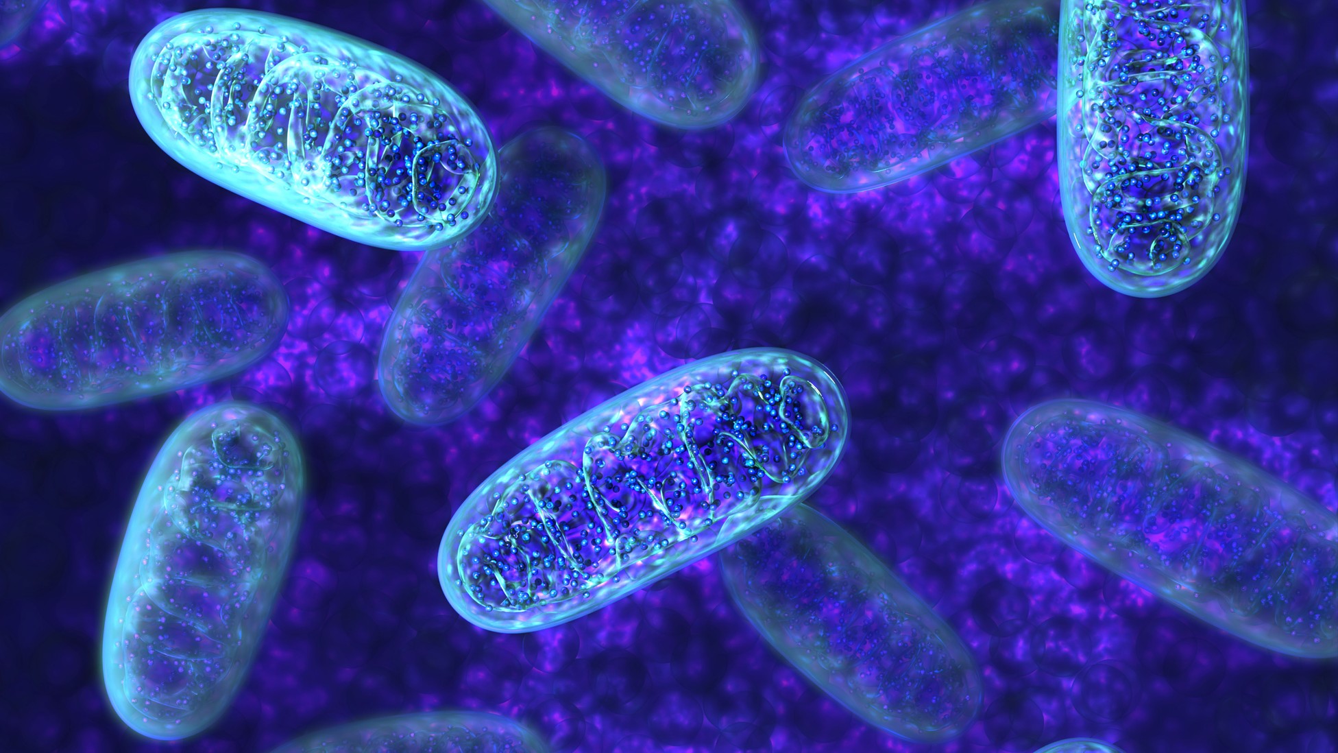 How NASA Sparked a Revolution in Microbiology - The Atlantic