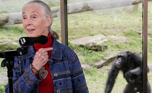 All Stories by Nicholas H. Wolfinger - The Atlantic