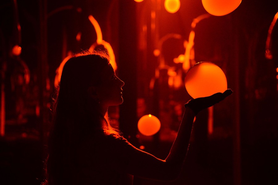 Photos of the Week: Wax Queen, Desert Blooms, Explosive Jack - The Atlantic