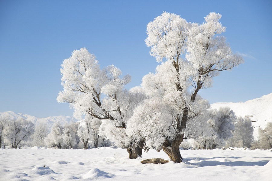 A Land of Snow and Ice - The Atlantic