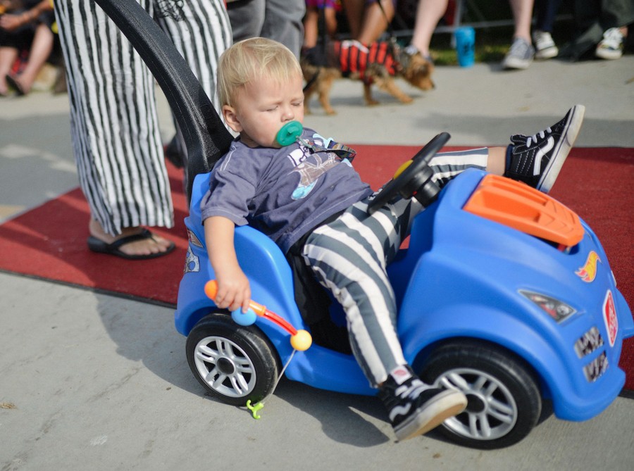 Photos: National Napping Day - The Atlantic