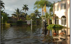 All Stories by Ted Hesson - The Atlantic