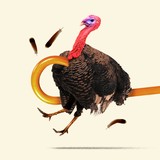 Ellen Cushing, The Atlantic