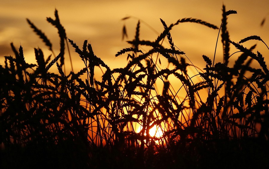 Fall Is in the Air - The Atlantic