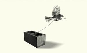 All Stories by Alexis Redding - The Atlantic