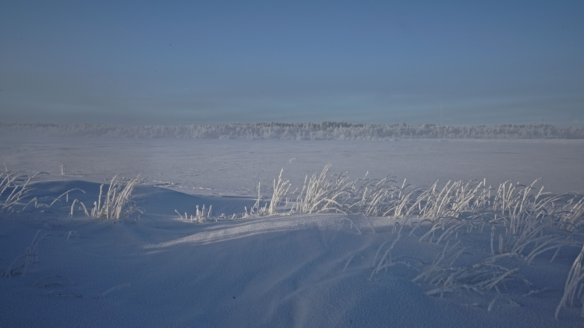 The Arctic’s Long Lesson in Survival - The Atlantic