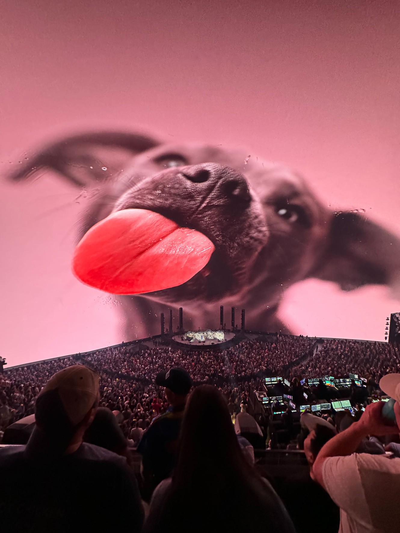 Sphere Is the Mind-Killer - The Atlantic