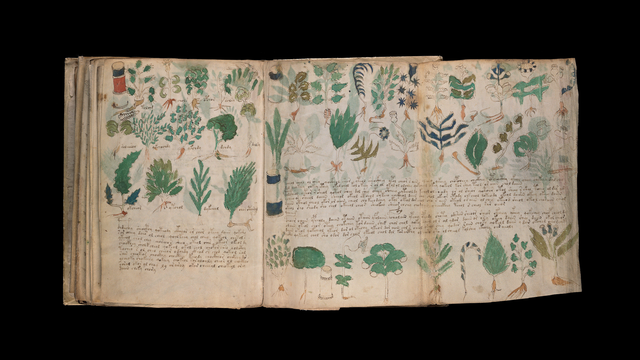 Will the Mystery of the Voynich Manuscript Ever Be Solved? - The Atlantic