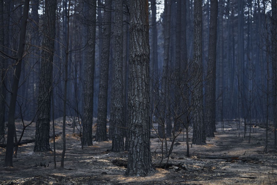 Photos of Australia’s Bushfire Catastrophe - The Atlantic