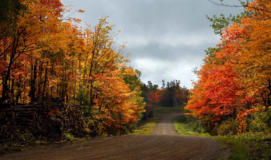 Fall Is in the Air - The Atlantic