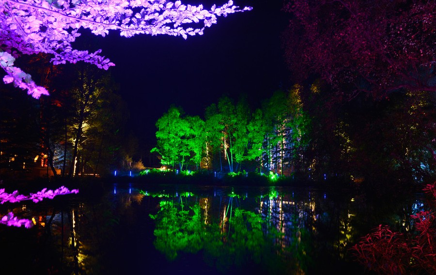 Lighting Up the Night - The Atlantic