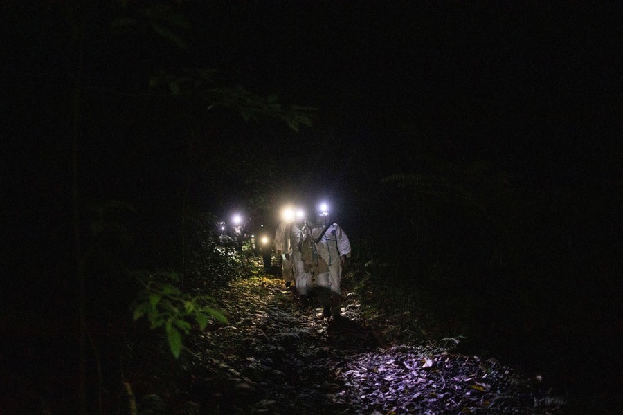 Photos: Studying Bats With “Virus Hunters” in the Philippines - The ...