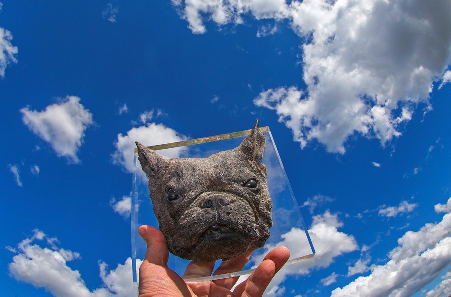 A Full-Service Funeral Home for Pets - The Atlantic