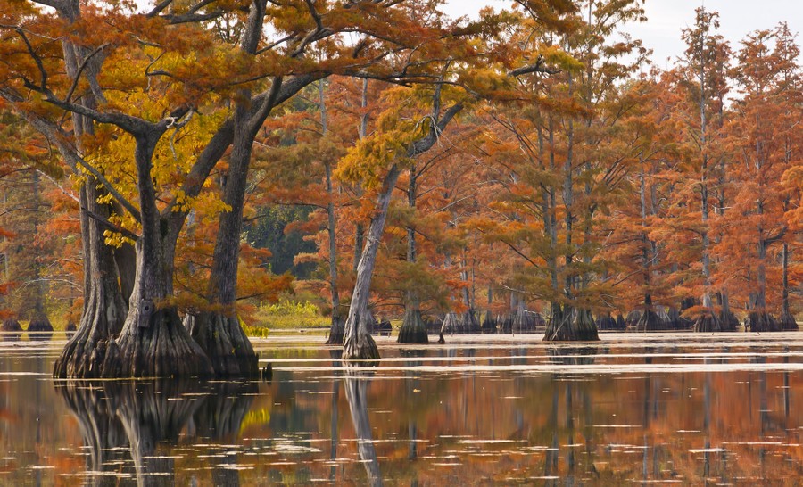 Arkansas: Images of the Natural State - The Atlantic