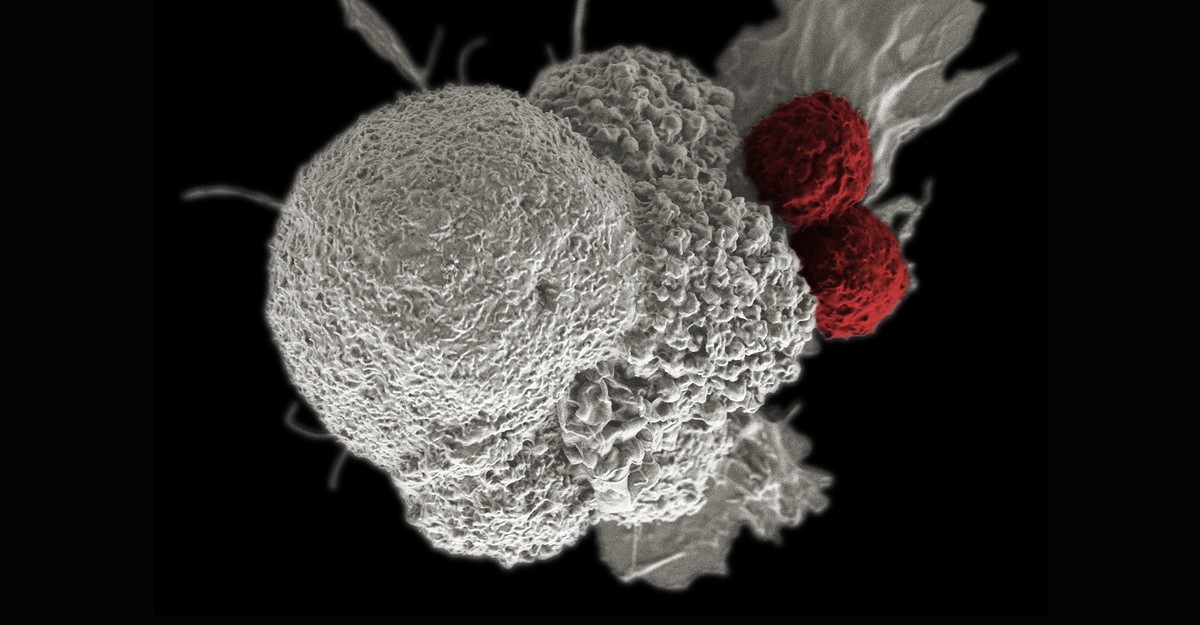 The FDA Approves a Landmark Cancer Drug That Uses Genetic Engineering ...