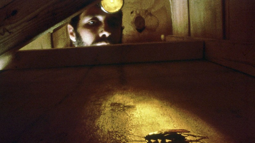 Bugged: Obama's Roach Problem - The Atlantic