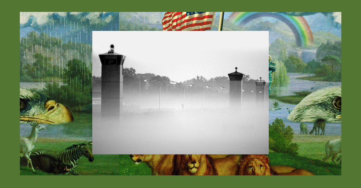 How Did This Professor End Up Witnessing an Execution? - The Atlantic