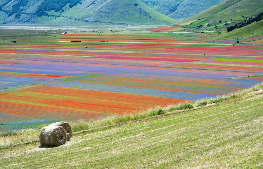 Colors Bloom Across the Great Plain of Castelluccio, Italy - The Atlantic