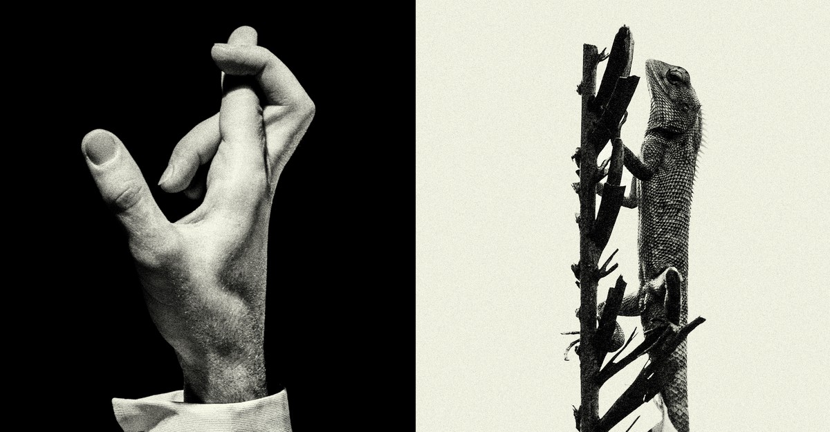 Can Plants and Animals Lie? - The Atlantic