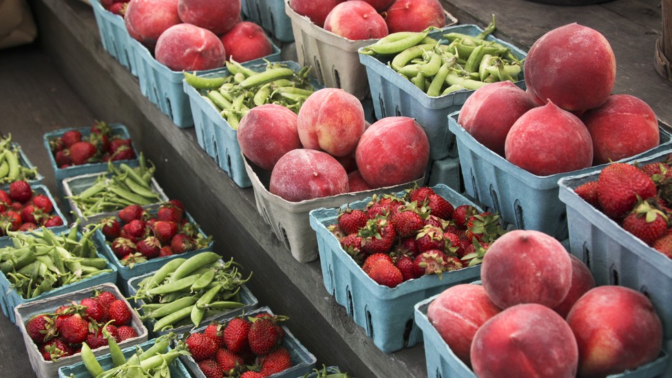The Farm Bill's SNAP Work Requirements in Rural Areas - The Atlantic