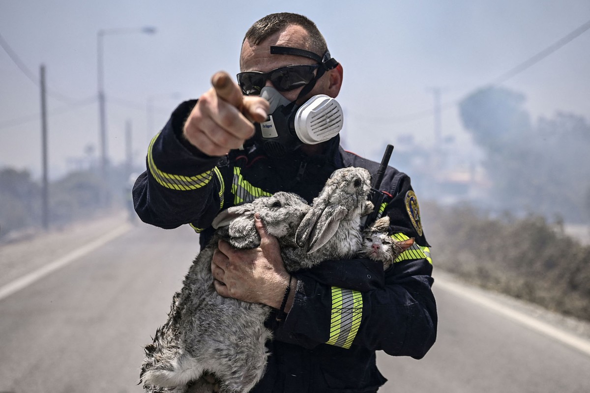 Devastating Wildfires on the Greek Island of Rhodes (20 photos ...