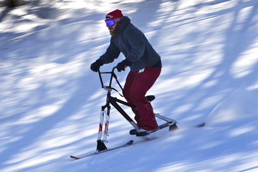 Photos of the Week: Ski Bike, Cow Hug, Drone Face - The Atlantic